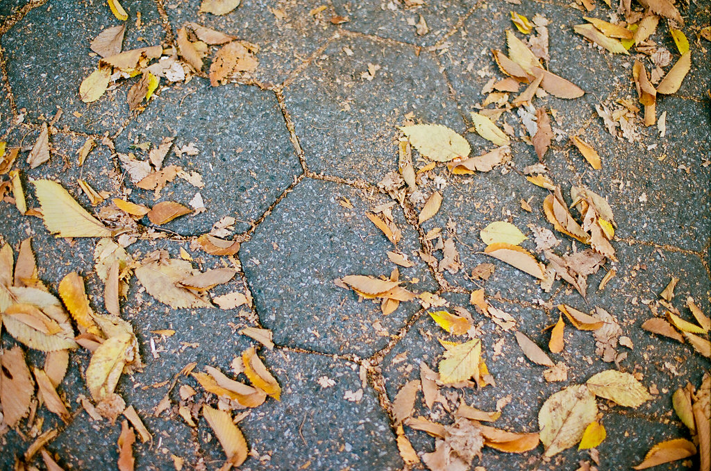 Matheny Family | New York City | WEDDING AND FAMILY FILM PHOTOGRAPHER